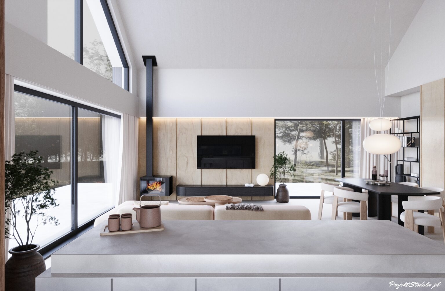 Projekt Stodoła Smart + Solo | Projekt Stodoła