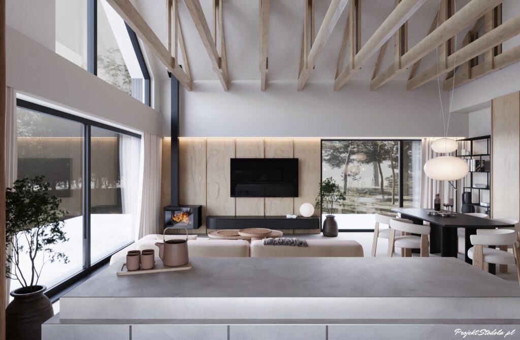 Projekt Stodoła Smart + Solo | Projekt Stodoła